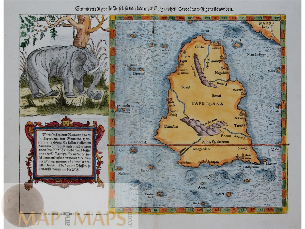 Taprobana Antique Map Münster c.1559 | Sri Lanka Sumatra Elephant